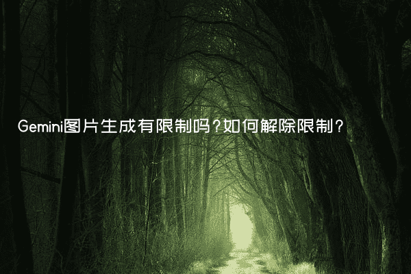Gemini图片生成有限制吗?如何解除限制? - Stable Diffusion中文网